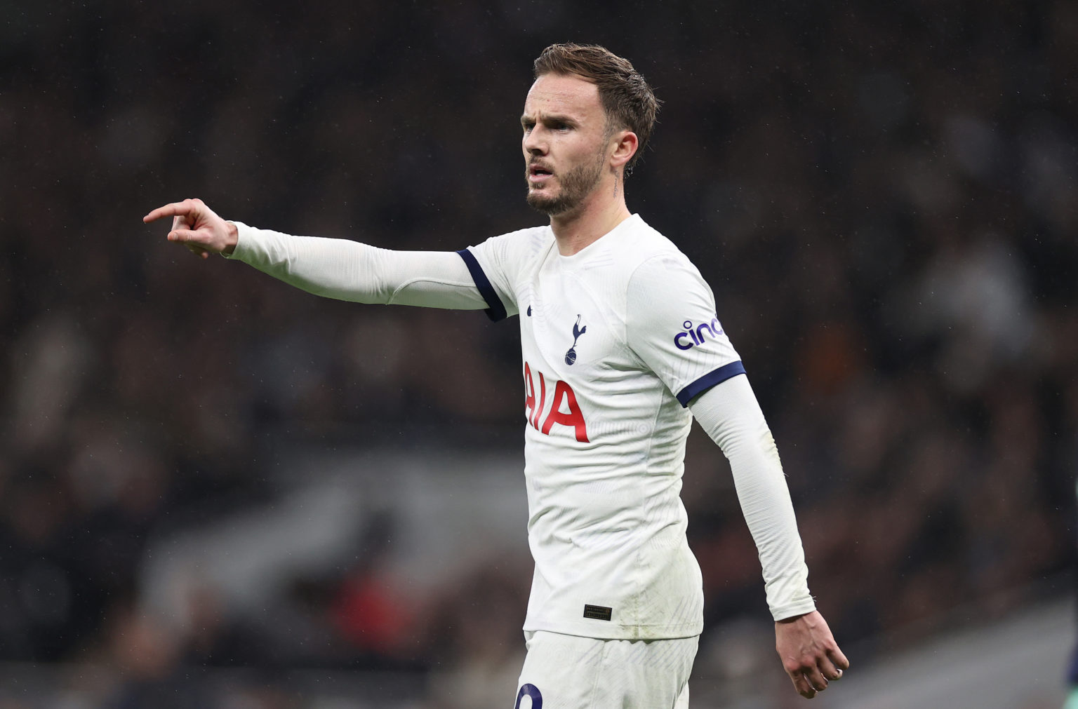 Ange Postecolgou's 11 Tottenham Hotspur signings, Ranked